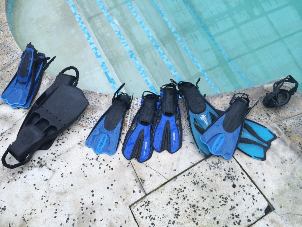 Purple Turtle Diving Kids Club – Purple Turtle Diving